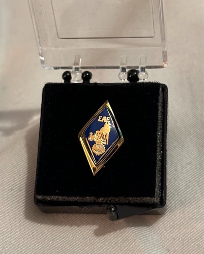 Sigma Alpha Epsilon Fraternity Pin - Serial #345511 | eBay