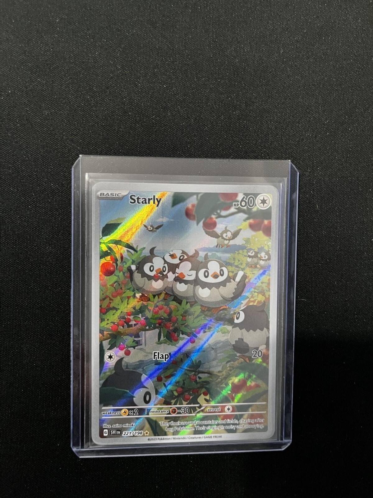 Pokemon TCG Starly Illustration Rare 221/198 NM | eBay