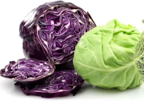 CABBAGE MIX SEEDS Purple Red Green Golden Mix Cabbage Seeds Vegetable ...