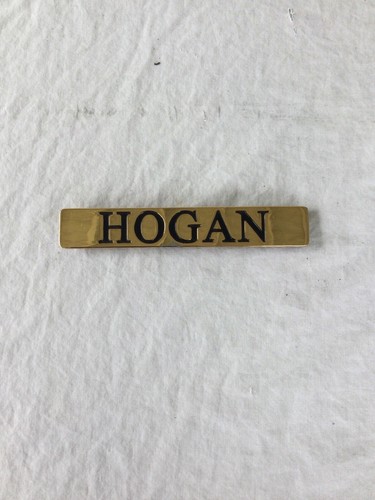 wwe name plate hulk hogan big gold World Heavyweight Wcw | eBay