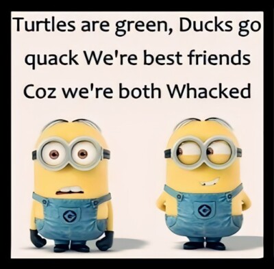 Turtles Are Green Ducks Go Quack Best Friends Whacked MAGNET | eBay