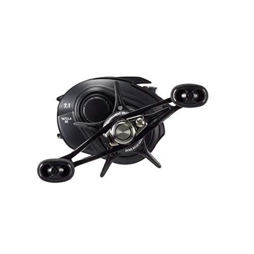Daiwa Bait Reel 22 Tattooa TW 80H (2022 Model)NEW | eBay