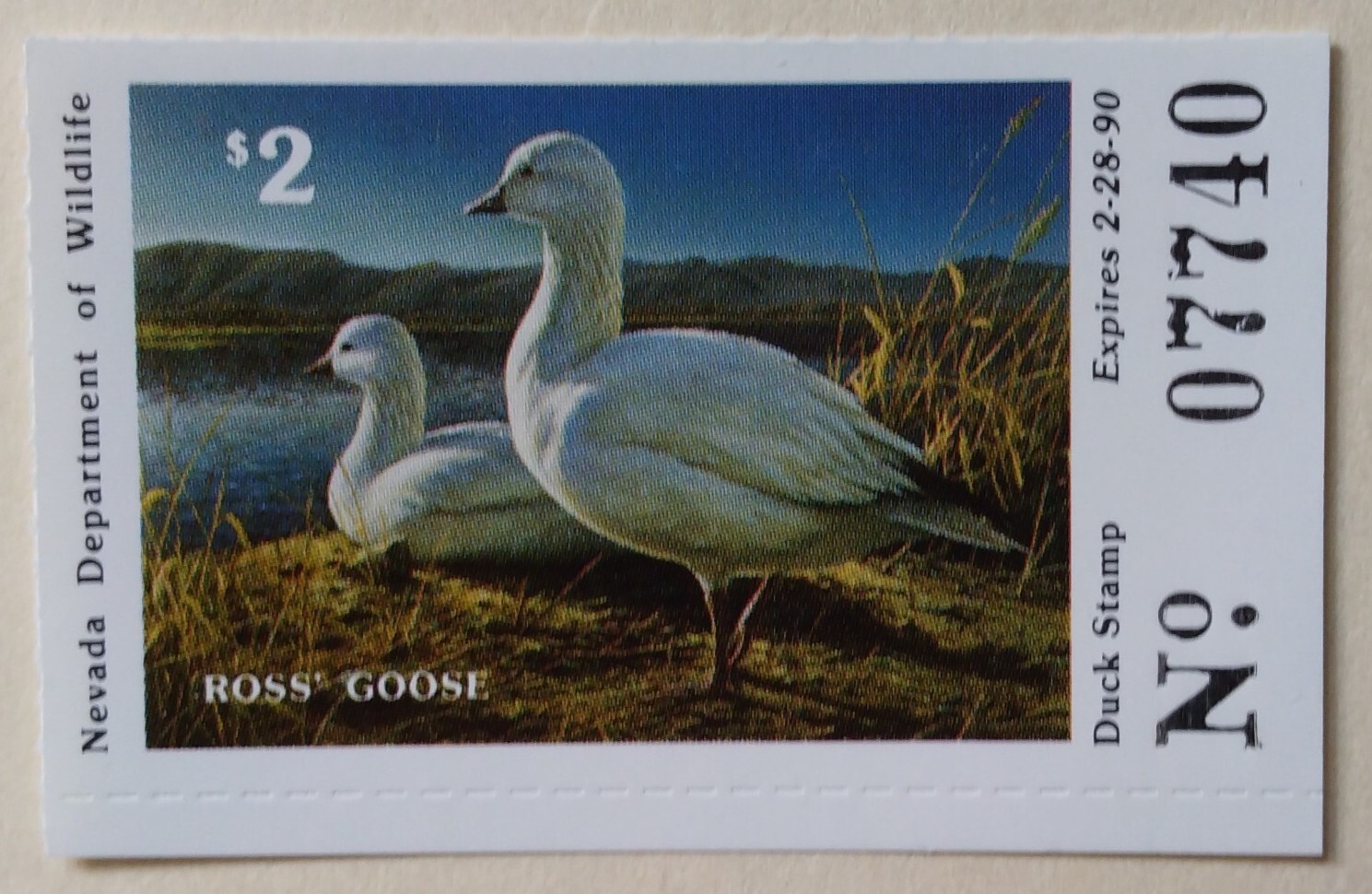 Nevada State Duck Stamp, 1989, sc#NV11, Mint, Never Hinged, OG | eBay
