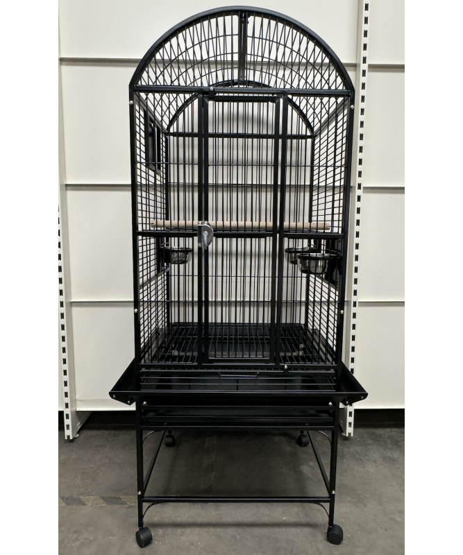 Black Bird Cage