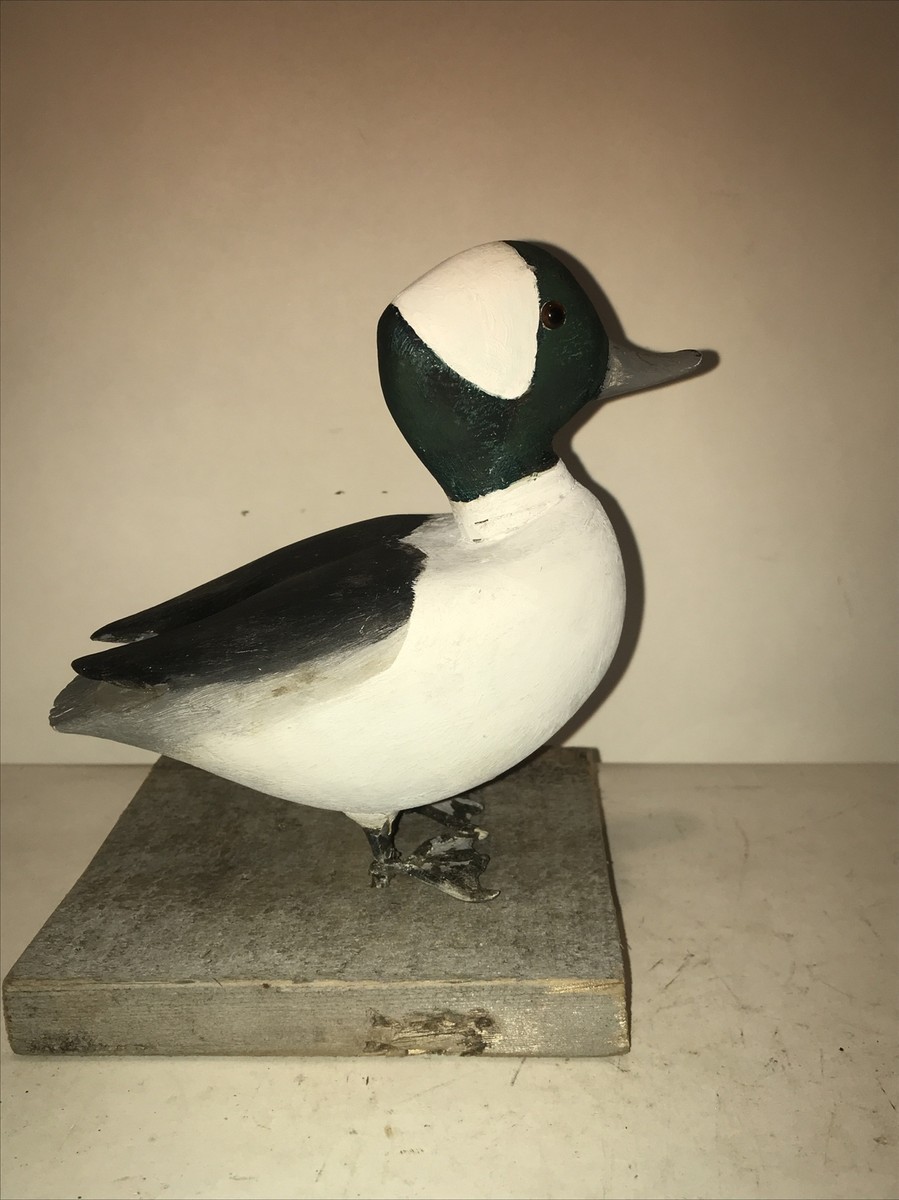 Standing Bufflehead Mounts