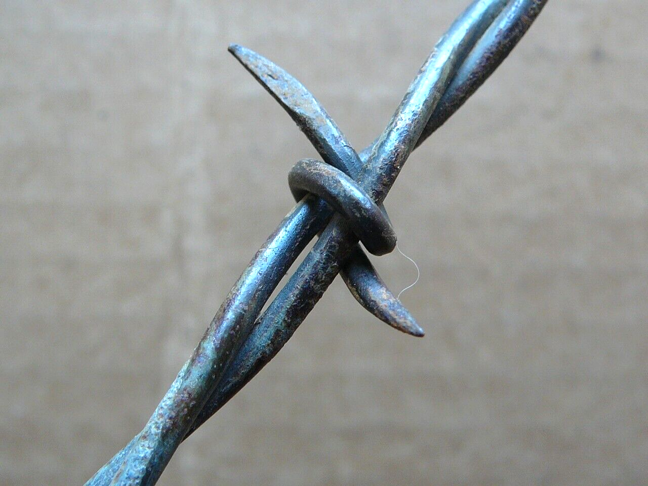 EDENBORN'S LOCKED IN TWO POINT FLATTENED BARBS GALVANIZED - ANTIQUE ...
