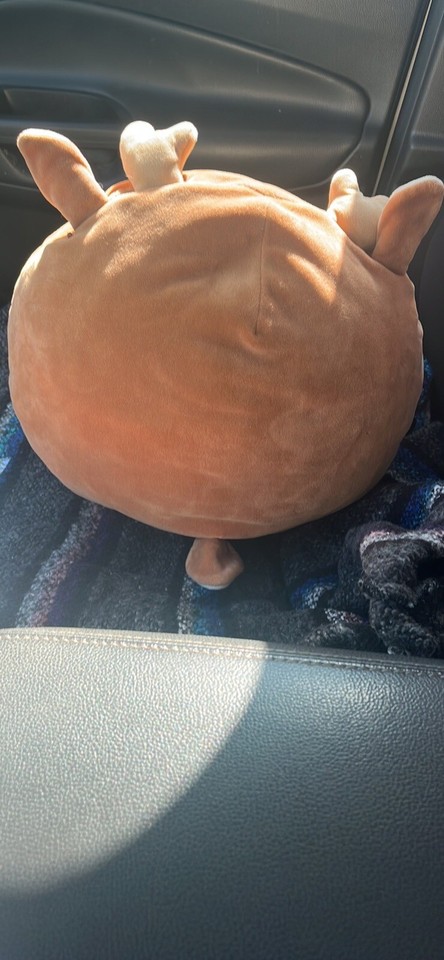 Squishmallows Dawn The Fawn 16 inch Plush Toy 734689796304| eBay