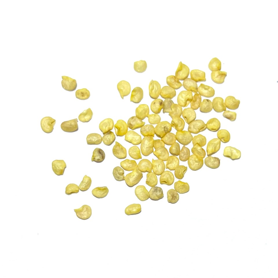 Serrano Chili Pepper Seeds For Planting (Capsicum annuum) | eBay