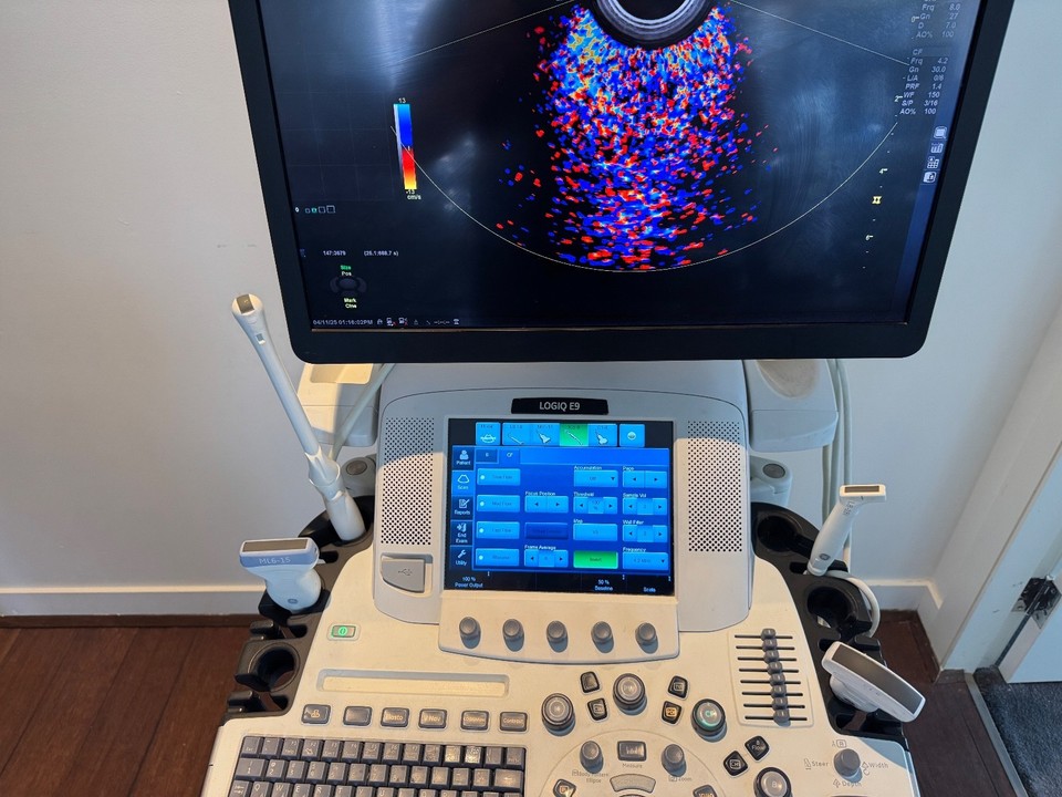 GE LOGIQ E9 R6 ULTRASOUND 4 PROBES 3D/4D ELASTOGRAPHY ML6-15-D C6-1 IC9 ...