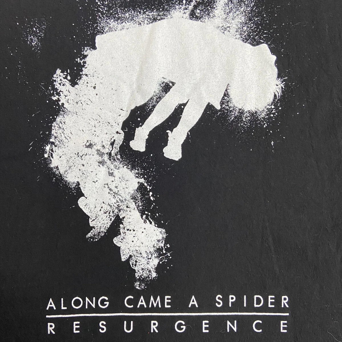 Along Came A Spider Band