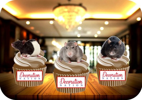 Rat Trio Mix 12 Edible STANDUP Cake Toppers Decoration Birthday Cute ...