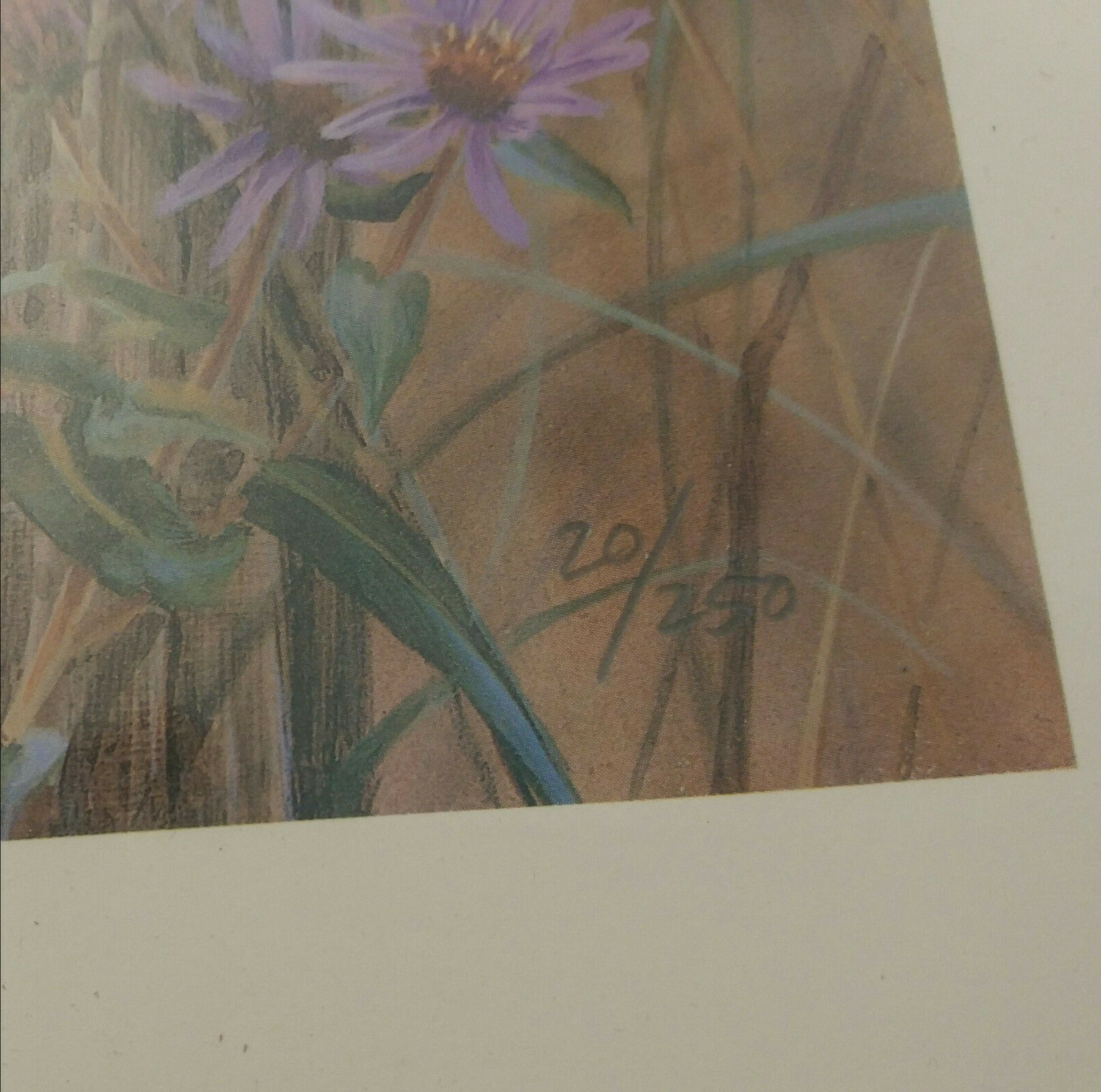 Russell Cobane Milkweeds In Flight Art Print Limited # 20 of 250 Signed ...