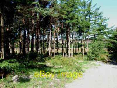 Photo 6x4 Edge of Harwood Dale Forest Open farmland beyond. c2006 | eBay UK