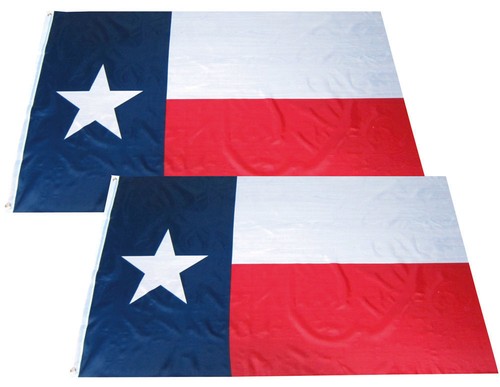 Wholesale Combo Pack of 2 State of Texas Poly 3x5 ft Premium Flag House ...
