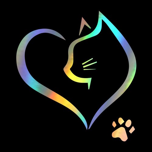 CALCOMANIAS VINILOS PARA AUTOS STICKERS de Carros Coche corazón Gato 15 ...