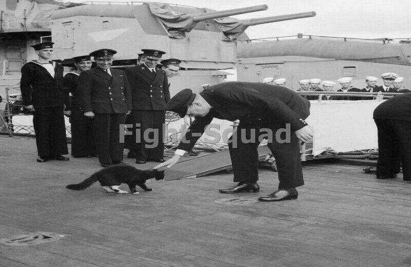 WW2 Picture Photo Winston Churchill petting the mascot of HMS Wales ...