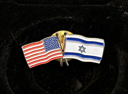 🇺🇸 New America and Israel Solidarity Lapel Pin 🇮🇱 | eBay
