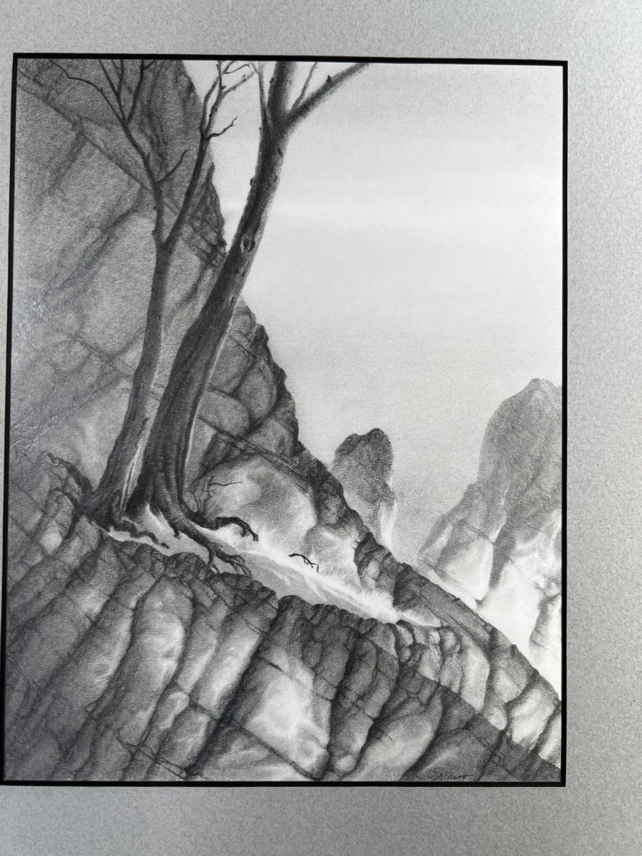 Tree Roots Pencil Drawing