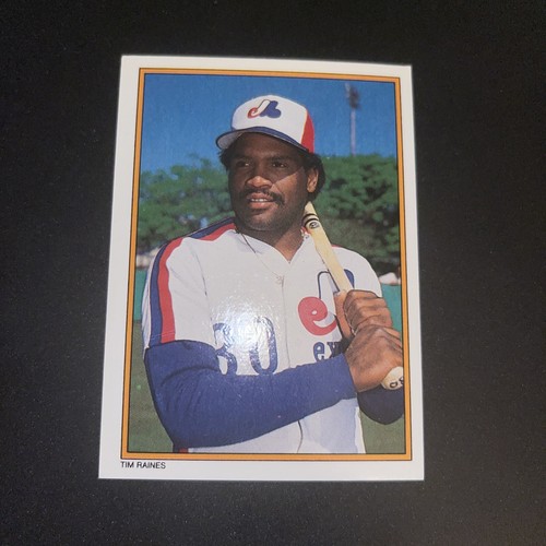 1987 Topps Glossy All-Star #48 Tim Raines - Montreal Expos | eBay