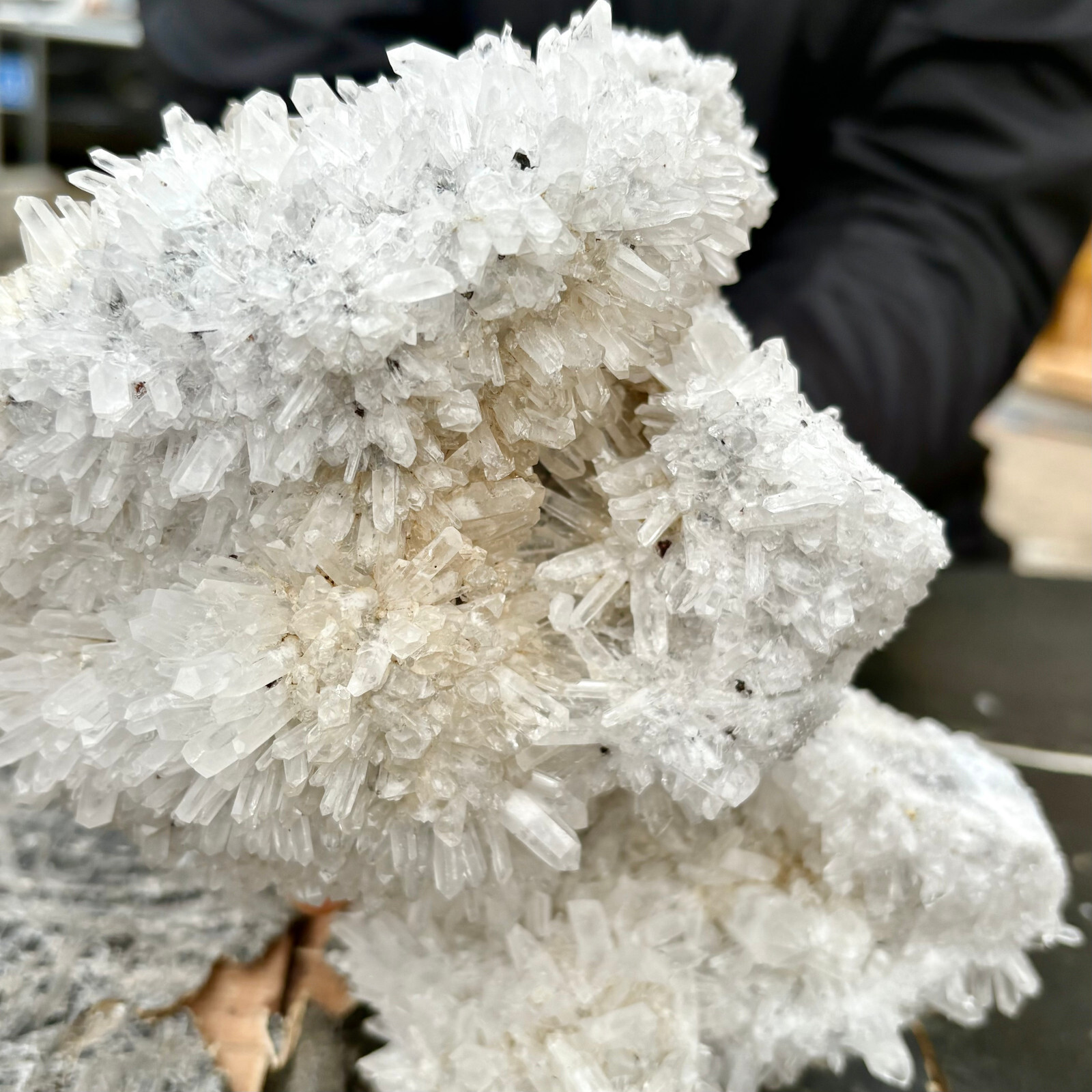 4.38LB Clear Beautiful White Chrysanthemum QUARTZ Crystal Cluster point ...