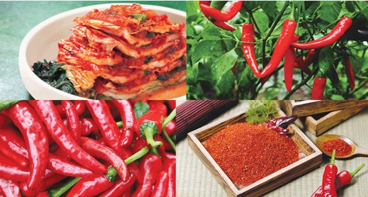 Korean 100% Sun-dried Stick Type Red Pepper Powder 100g(10g x 10ea) HACCP | eBay