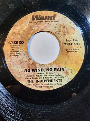 The Independents - Let This Lesson to You - No Wind Rain - 45 RPM VG+ ...