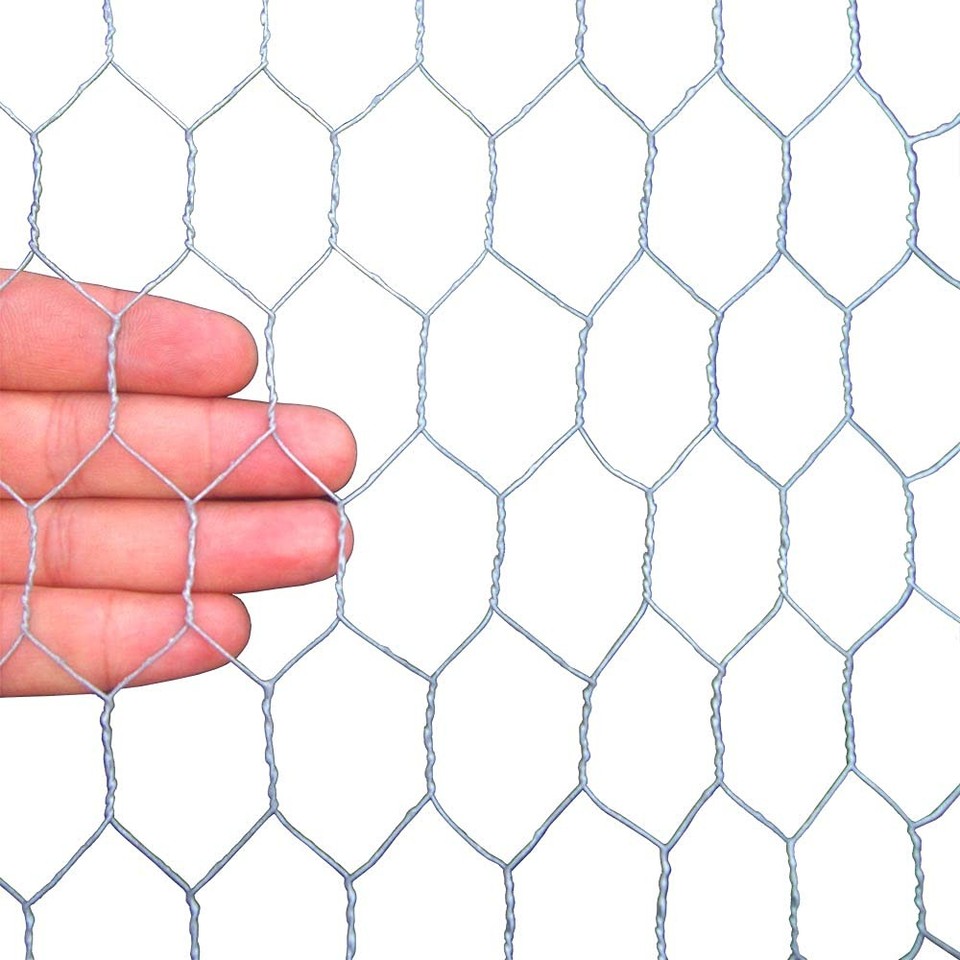 20GA Galvanized Hexagonal Poultry Netting Chicken Wire 12 inches x 25 ...