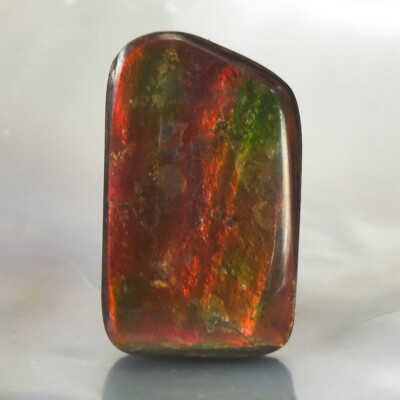 Ammolite Ammonite 3.44 g Rare Gemstone Cabochon Canada 21.78 x 13.12 x ...
