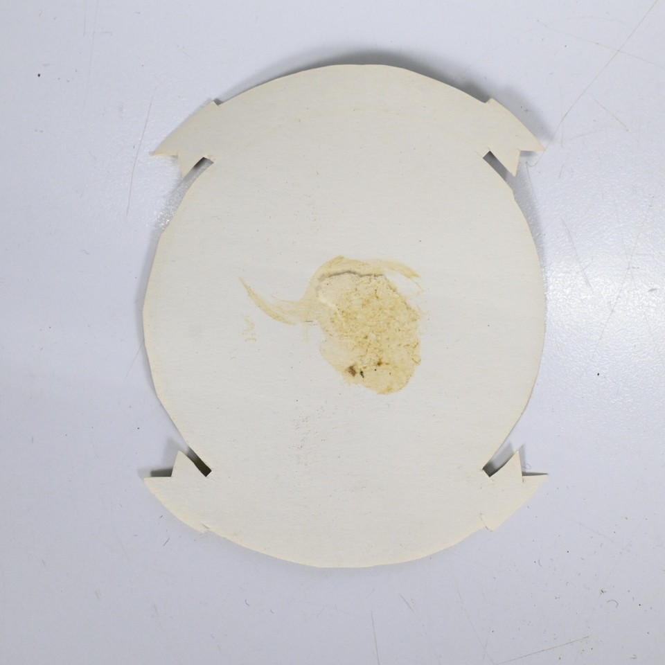 Original Navy/USNR Patrol Squadron VP-91 Patron 91 Totems Sticker 3.75 ...