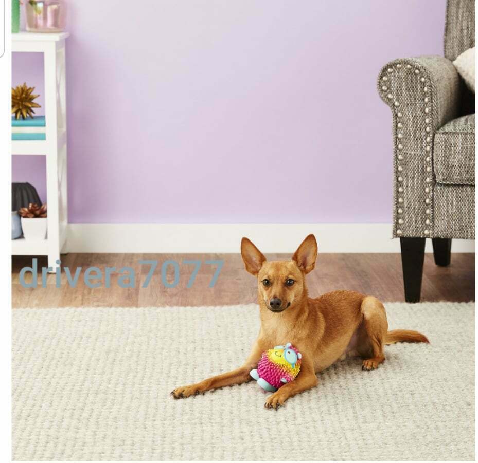 Hartz Frisky and Wettarn rolic Latex Squeakable Dog Toy, Color Varies ...