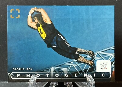 2024 Cactus Jack Panini Photogenic WWE Base Card | eBay