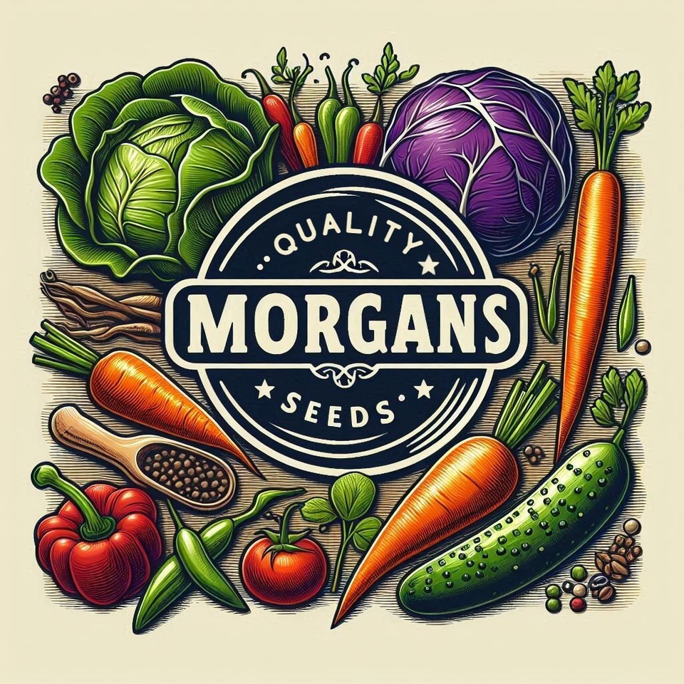 Winter Veg Garden Vegetable Seeds Affordable Hardy Set - 10 Packs | eBay UK