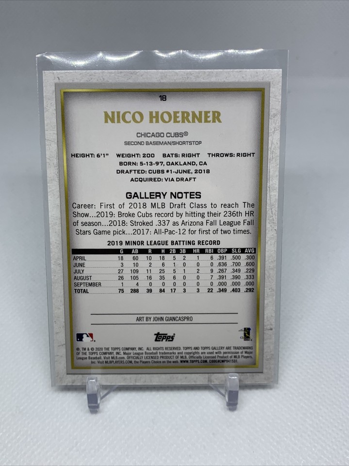 2020 Topps Gallery Nico Hoerner RC Rookie Card No. 18 Chicago Cubs🔥⚾️ ...