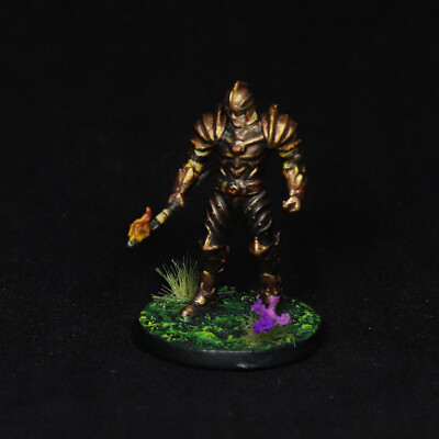 Painted DnD Miniature Fire Cultist Guard Watch Lancer Spearman Fighter ...