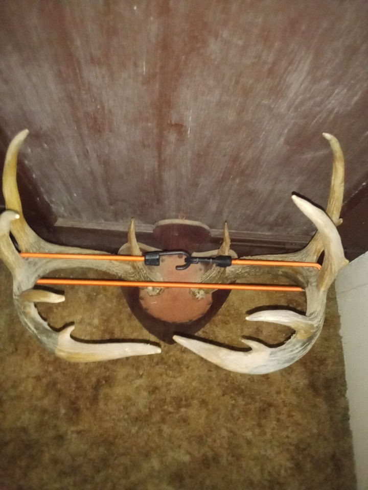 pt. Buck antler mount rack, 21" horizontal 14" arrowhead wood 4 tangs ...