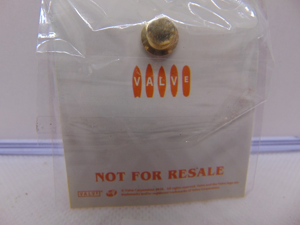 Valve Corporation Software Lapel Pin Maui 2018 Cartoon Figure Surfing ...