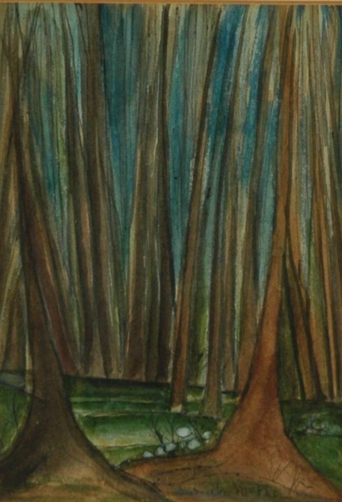 Colored Forest Drawing