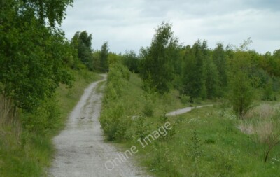Photo 6x4 Alternative tracks on the Stockley Trail Rylah There is a ...