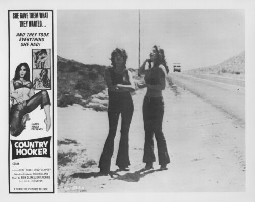 Country Hooker Original 1974 Bw Exploitation Lobby Still Photo Rene Bond Ebay