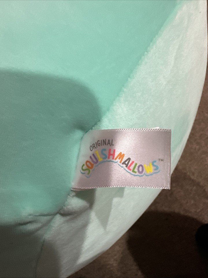 RARE Squishmallow Valentines 2025 Charisma the Mint Cat 16” NEW with ...