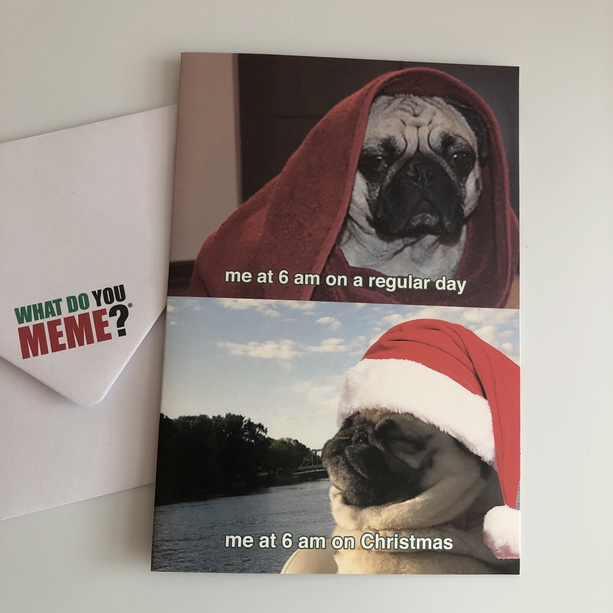 Christmas Dog Meme