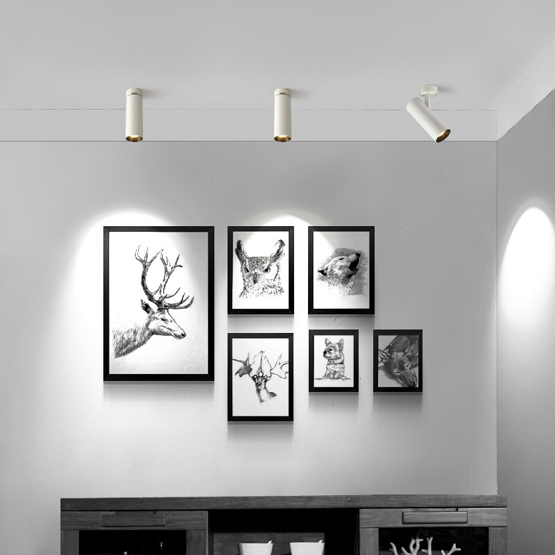 LED COB Ceiling Wall-Back Light Adjustable Lamp Picture Focus Spotlight ...