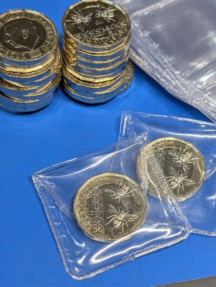 New £1 Pound BEES Coin King Charles 2023 UNCIRCULATED from sealed bag ...