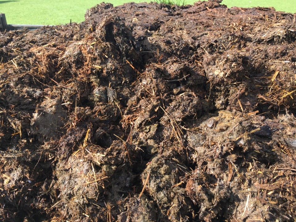Well rotted manure | eBay UK