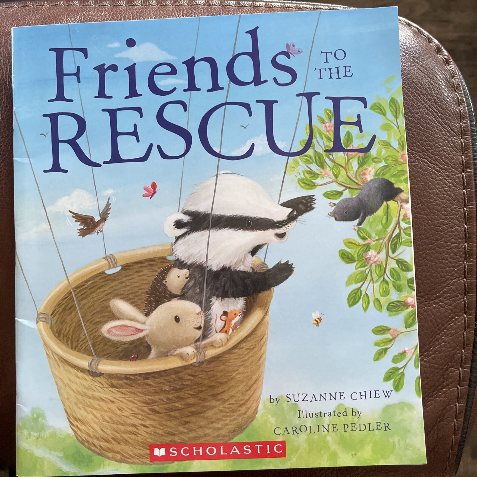 Friends to the Rescue Picture Book Suzanne Chiew Paperback Book ...