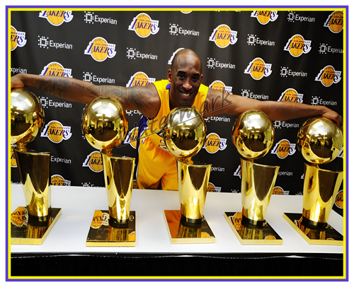NBA Los Angeles Lakers Kobe Bryant with 5 Trophies Color 8 X 10 Photo ...