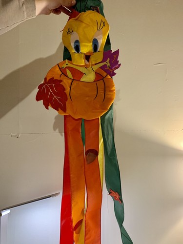Vintage Looney Tunes 1998 “Fall Time Tweety” Windsock W/Tags | eBay