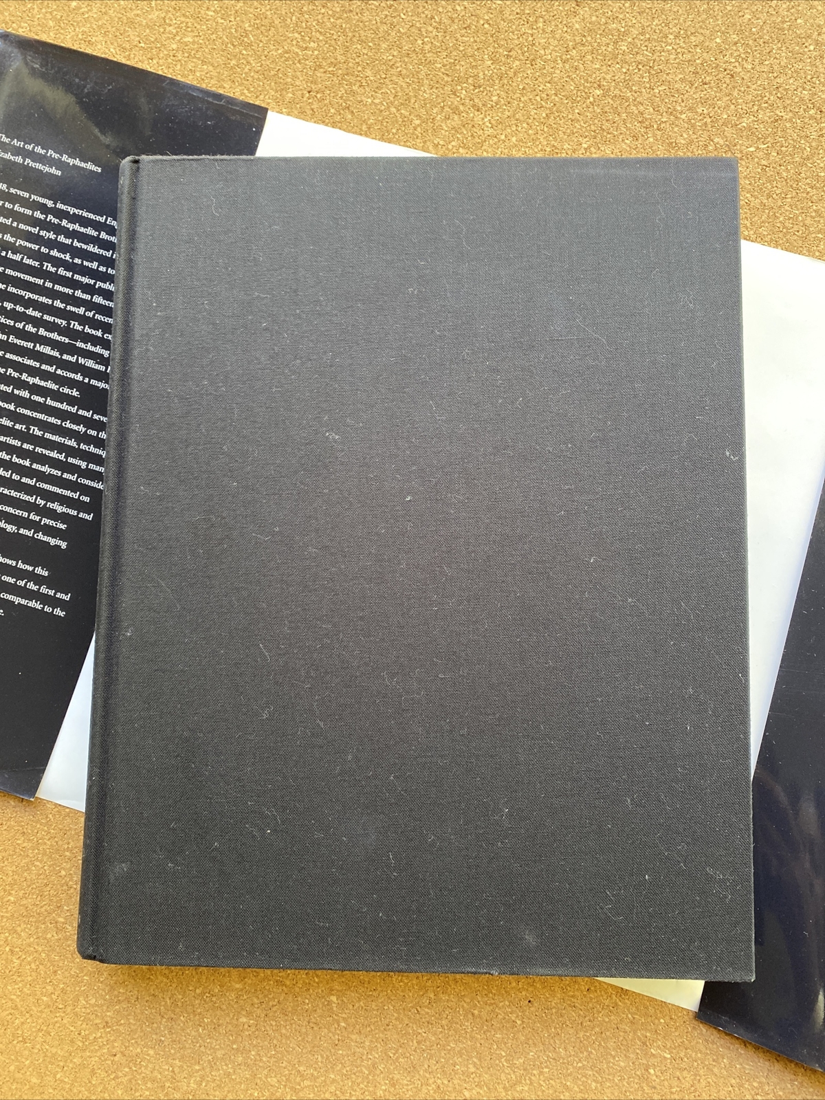 The Art of the Pre-Raphaelites Elizabeth Prettejohn Good Hardcover with ...