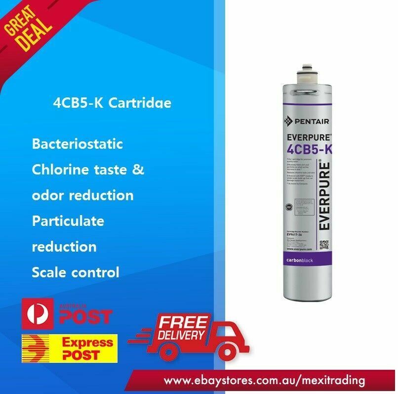Everpure 4CB5-K Replacement Water Filter Cartridge EV9617-36 | eBay