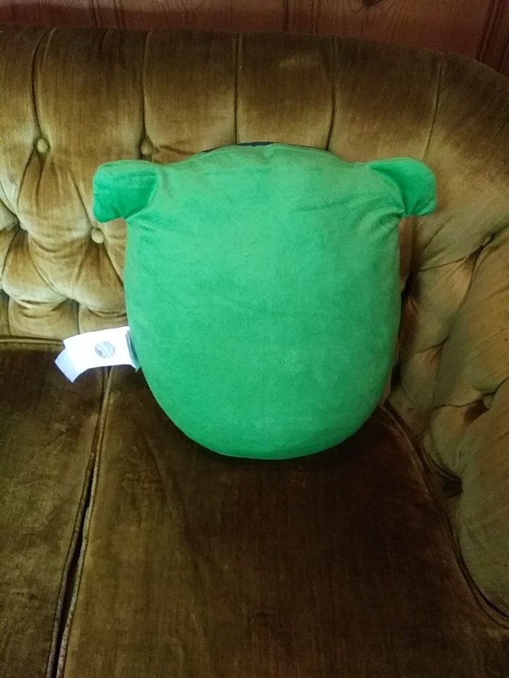 ⚾ MLB Houston Astros Mascot Orbit Squishy Plush Pillow Major League ...